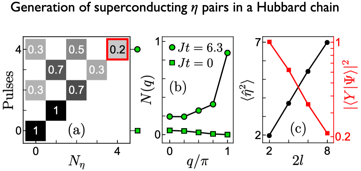Shovan Dutta – Collective Quantum Phenomena | Raman Research Institute